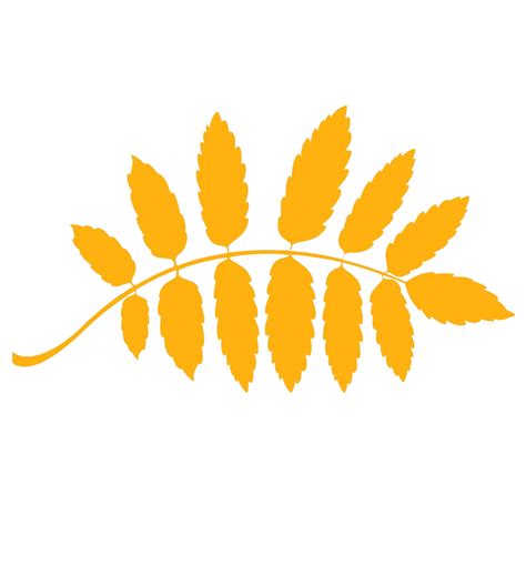 Glow Bright Skin Whitening Guide Auricle Asia