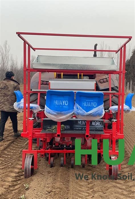 Tomato Transplanter Tomato Seedlings Plants Farming Techniques