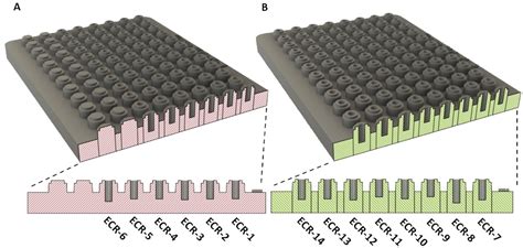 optimizing continuous‐flow biocatalysis with 3d‐printing and inline ir