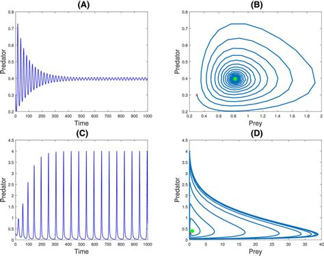 The Time Series Evolution Of The Predator For The Parameters Download Scientific Diagram