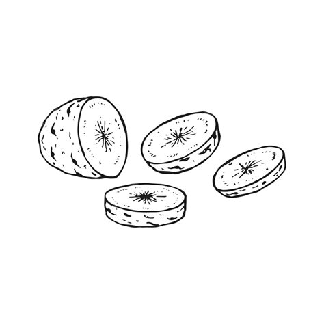 Potato Outline Vegetable Isolated Hand Potato Drawing Outline Drawing