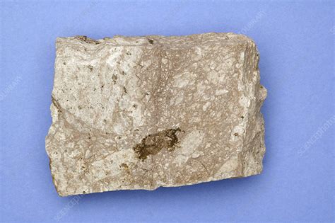 Rhyolite Stock Image E417 0408 Science Photo Library