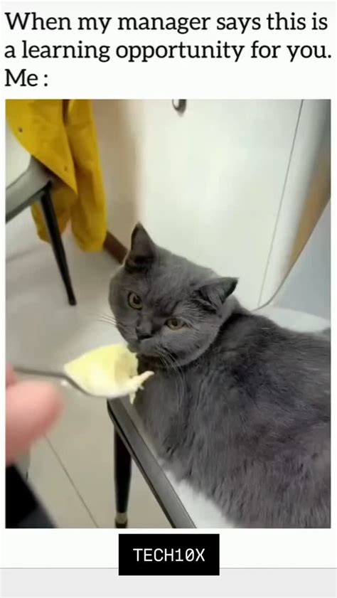 Tech10x Me 😂😂😂 Coding Java Coder Programmer Webdev Learning Programming Python