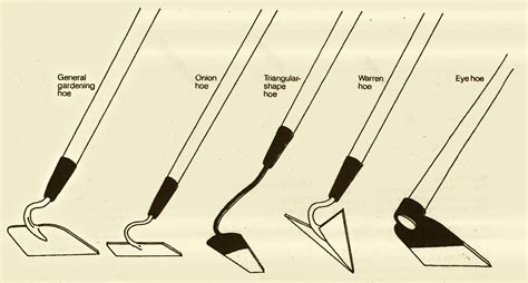 The Alan Chadwick Archive Garden Tools And Equipment