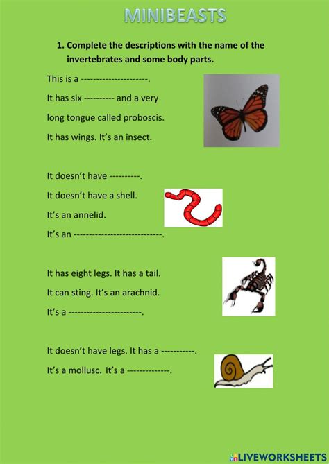 Minibeasts Marigafo Live Worksheets