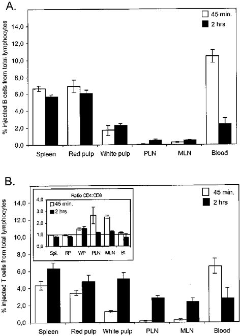 Migration Of Lymphocyte Subsets To Different Lymphoid Compartments A