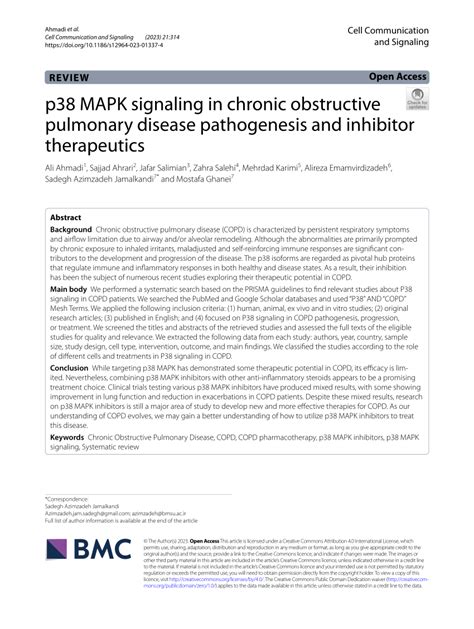 Pdf P38 Mapk Signaling In Chronic Obstructive Pulmonary Disease Pathogenesis And Inhibitor