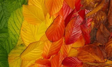 I Nth Spreadsheet Development Life Cycle