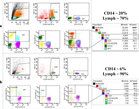 Representative Panel Showing The Enrichment Of Lymphocytes From Total
