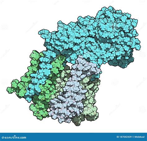 Protein Subunit Vaccine Infographic Cartoon Vector 253434781