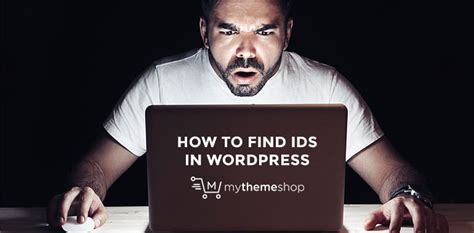 How To Find Post Category Tag Comments Or User Id In Wordpress