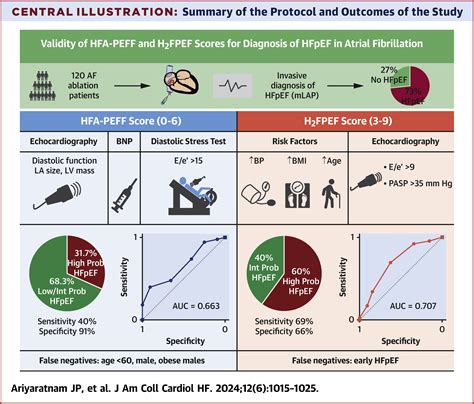 Utility And Validity Of The Hfa Peff And H2fpef Scores In Patients With