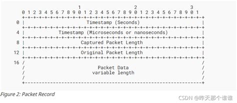 c语言使用libpcap输出报文到pcap文件 c 语言 写入pcap文件 csdn博客