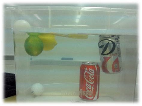 Density Sink Or Float Activity Schneider Science