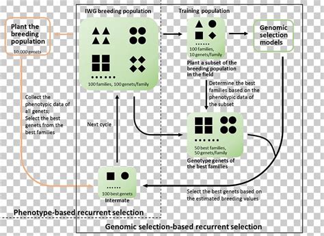 electronics line font png clipart area art communication diagram
