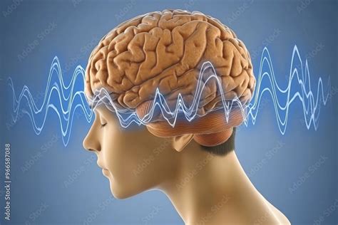 neural impulses neuron modulation and brainwave dynamics abstract model