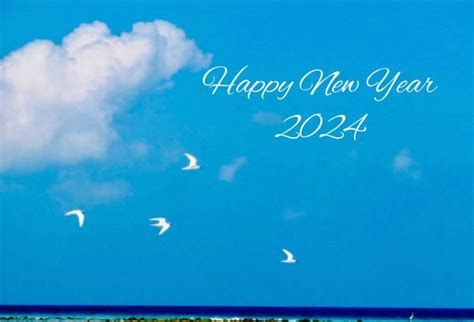 Happynewyear Dr Asim Mohamed