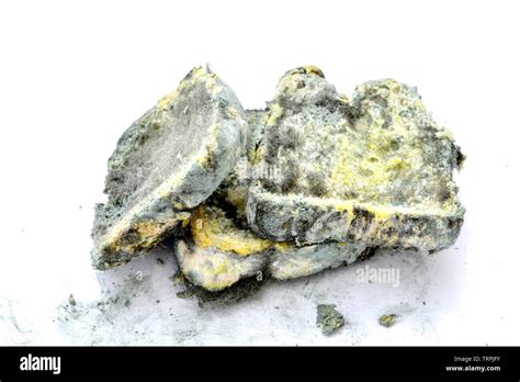 Bread Mold Stock Photos Bread Mold Stock Images Alamy