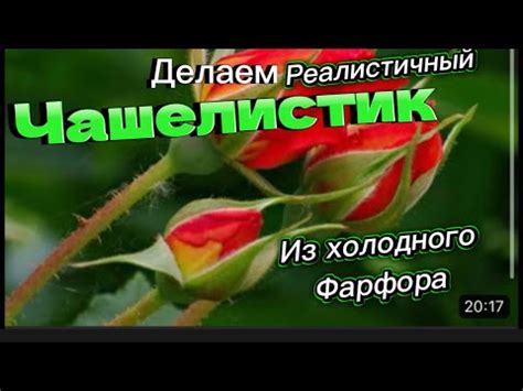 Делаем реалистичный чашелистик для розы с ворсинками/мк-подробный ...