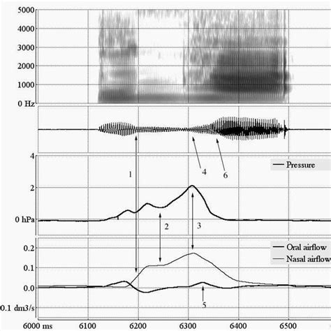 Spectrogram Audio Waveform Pharyngeal Pressure Nasal And Oral