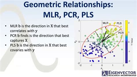 evri thing you need to know about how to do partial least squares