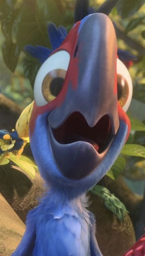 Red And White Bird Rio 2