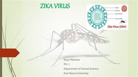 Zika Viruspptx Zika Viruspptx