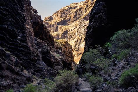Wandern In Der Schlucht Masca Schner Weg Entlang Der Schlucht Zum Ozean Berge Der Insel Von
