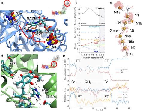 Multiscale Simulations Of Pcet Reactions In Complex I A Pcet Between
