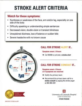 Stroke Alert Reeducation Raelyn Nicholsons Level 3 Portfolio