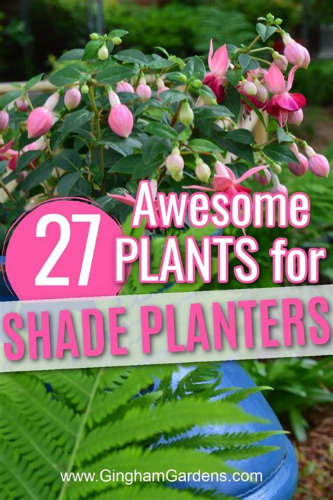 Creative Ideas For Shade Container Gardens Gingham Gardens Flower