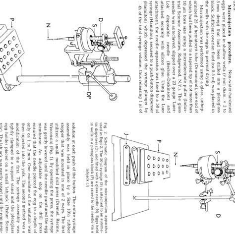 Schematic D~agram Of The Microinjection Apparatus Used In Expt 2 The