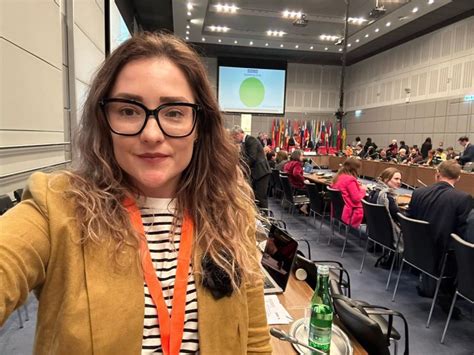 Inna Liniova On Linkedin Fantastic Two Days In Vienna At The Osce Supplementary Meeting On The