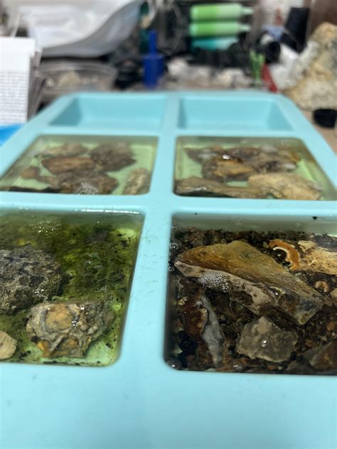 Chips And Flakes Look Better Under A Bubble Rrockhounds