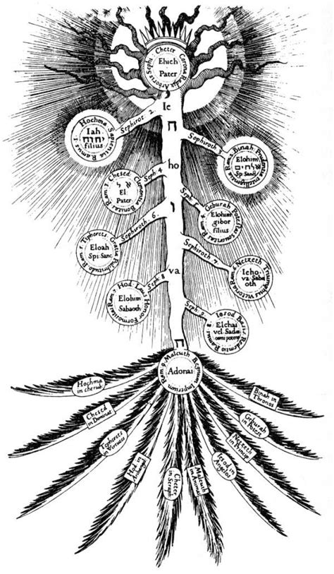The Tree Of Life Understanding Its Symbolism And Significance Symbol
