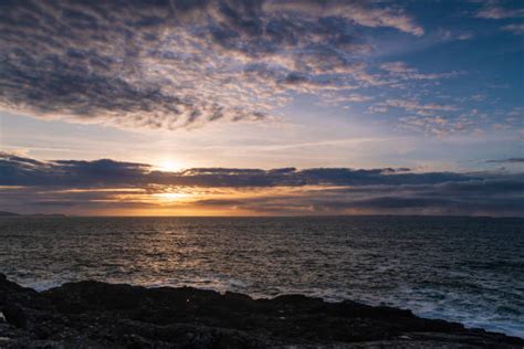 100 Coll Fotografías De Stock Fotos E Imágenes Libres De Derechos Istock