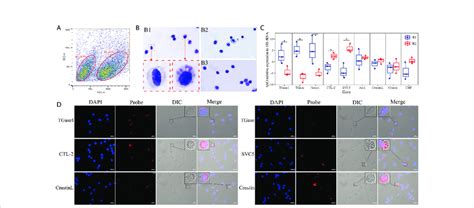 Morphological Analysis Of Hemocytes Clusters A Facs Analysis Of