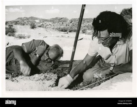 Mary Douglas Nicol Leakey Fotos Und Bildmaterial In Hoher Auflösung