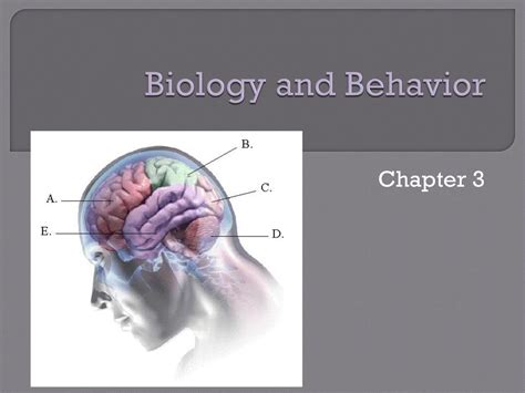 Biology and Behavior Chapter ppt download