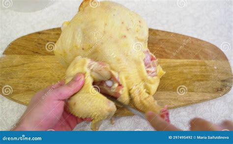 Male Hands Cutting Chicken Carcass Into Pieces Stock Footage Video Of