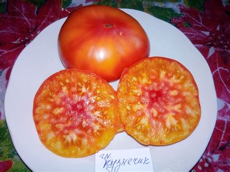 Гном Кузнечик | mir-tomatov