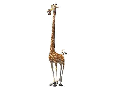 Giraffe Png