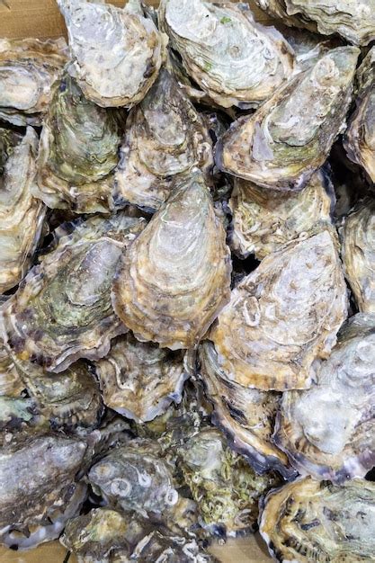 Premium Photo Oysters Fresh Shellfish On The Seller Stall Background
