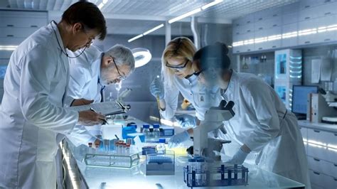 Everything You Need To Know About Biomedical Engineering Engineers