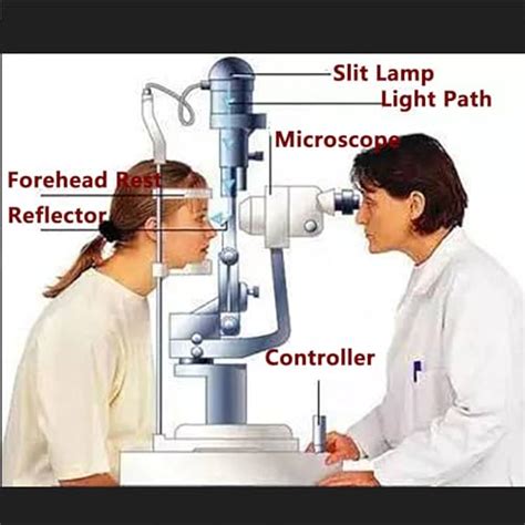 Sokes 10x Compound Lab Microscope With Adjustable Interpupillary