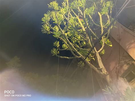 POCO M Pro Review A Better Redmi Note Pro Android Authority