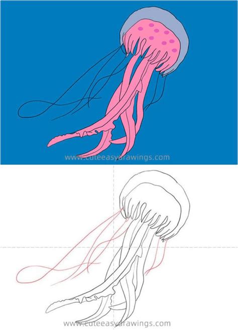 20 Easy Jellyfish Drawing Ideas How To Draw A Jellyfish