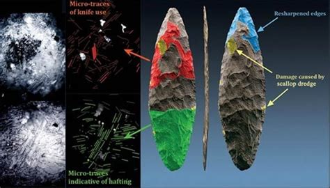 Evidence For Pre Clovis Inhabitants Of Americas Emerges From Sea Floor Ancient Origins Clovis