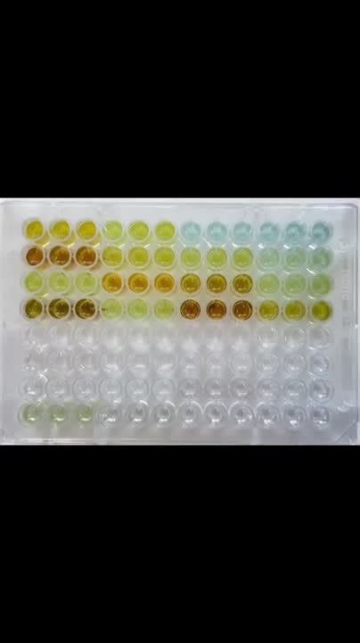 Manal Farhat On Linkedin Chemistry Bioactivecompounds Cosmetics