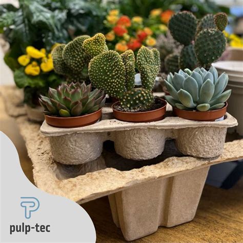 Pulptec Sustainablepackaging Mouldedpulp Ecofriendlysolutions